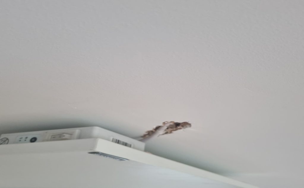 How to ceiling-mount infrared panel heaters? - FAQ